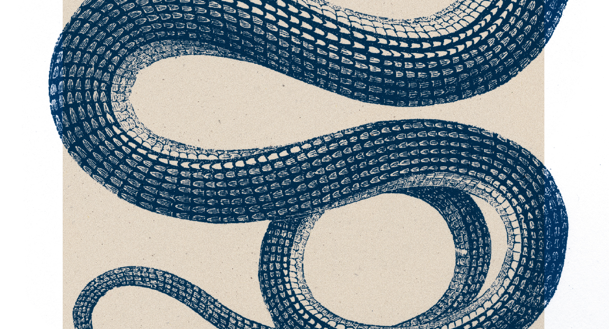 Animal Metaphors for the Christian Life | Tabletalk