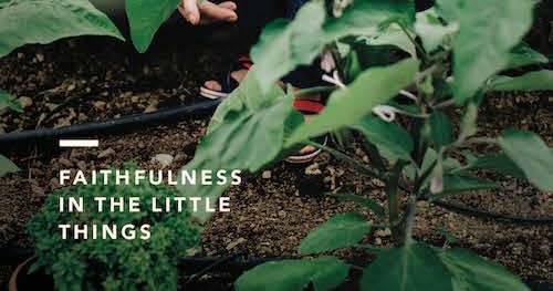 Busyness and Rest | Tabletalk
