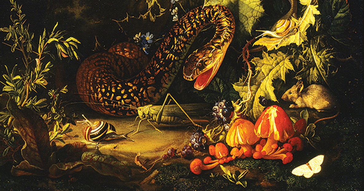 The State of Nature | Tabletalk