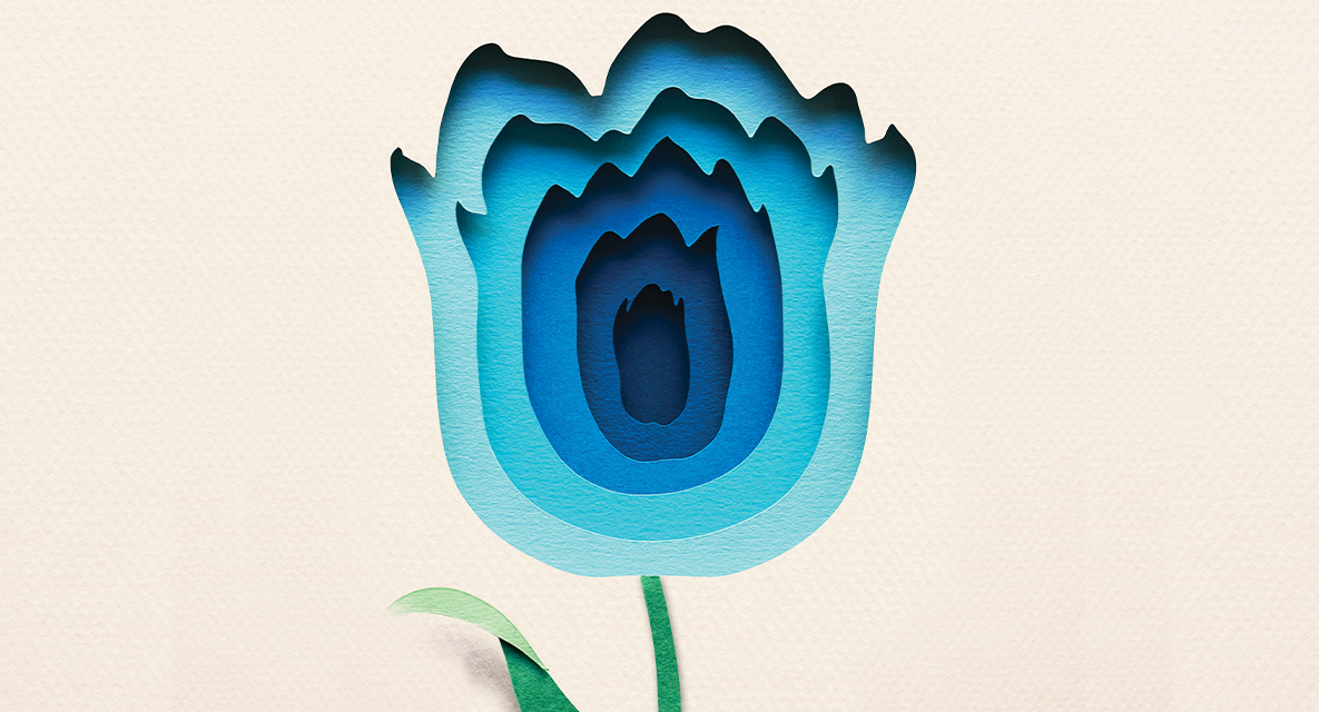 Perseverance of the Saints | Tabletalk